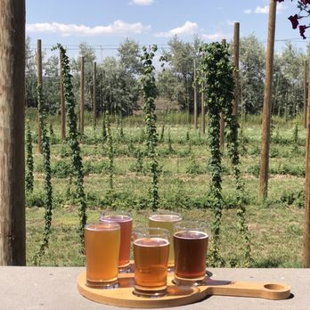 High Hops Brewery | Visit Windsor Colorado