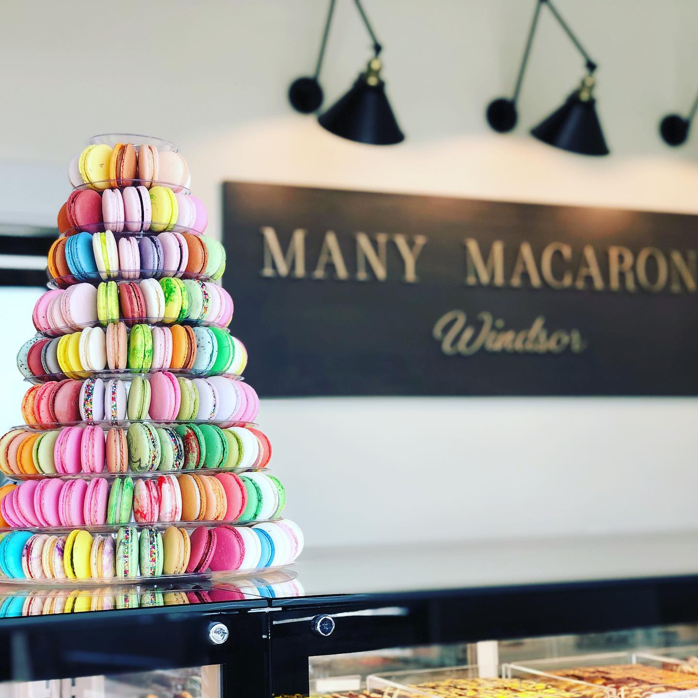 Many Macarons Bakery | Visit Windsor Colorado